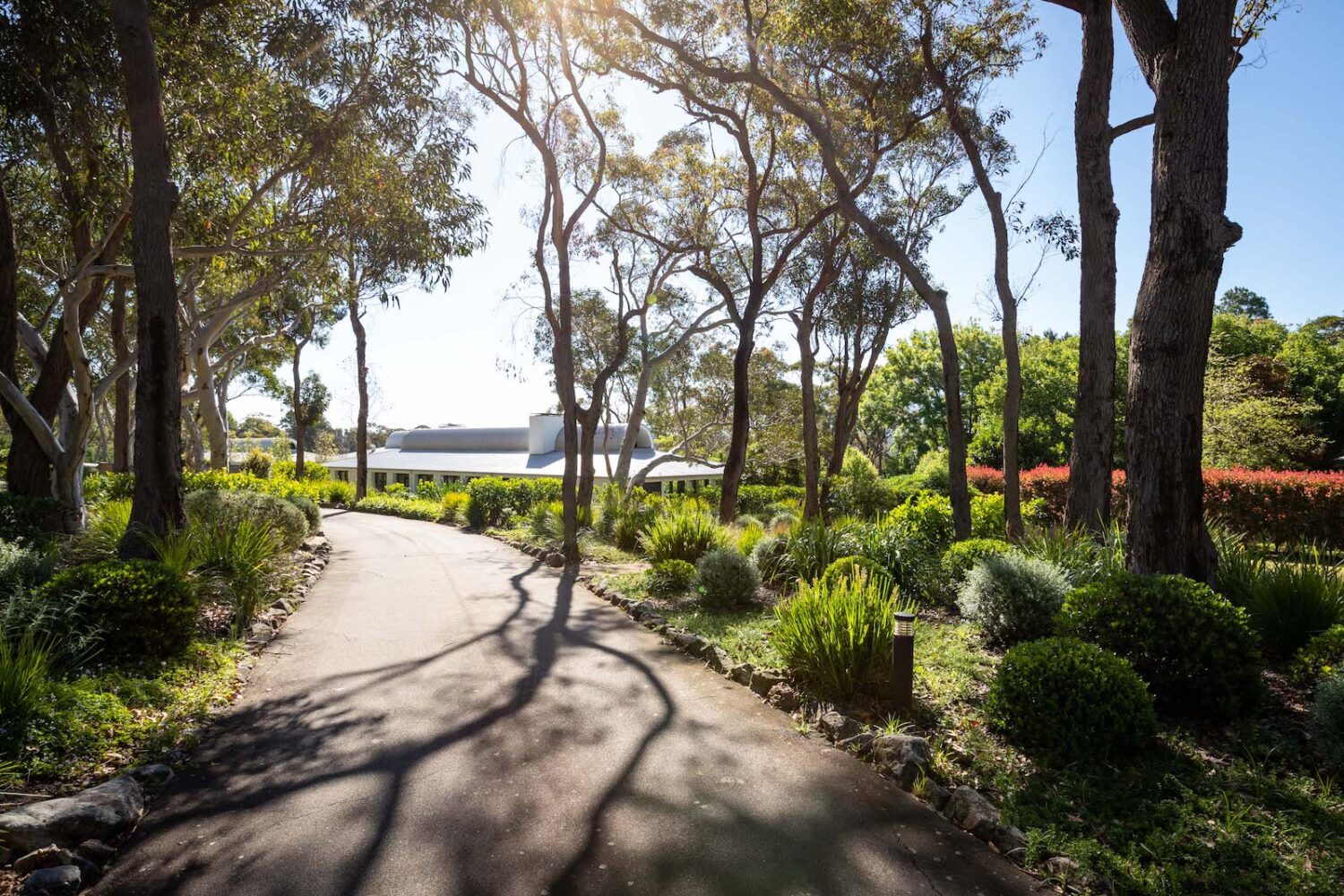Luxury Landscape Design Sydney Custom Homes Sydney