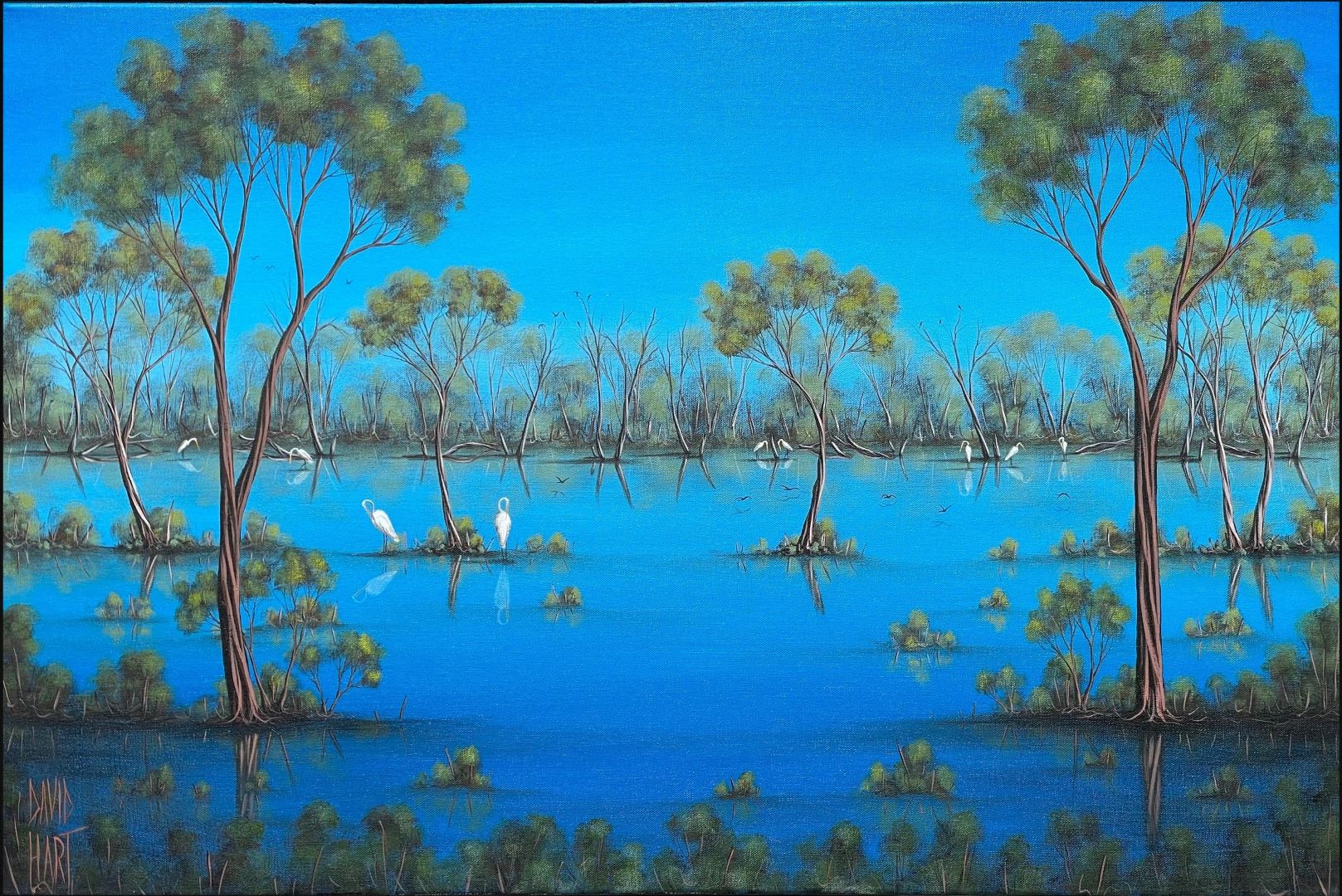 Artist David Hart - Queensland Artist, Art For Sale,