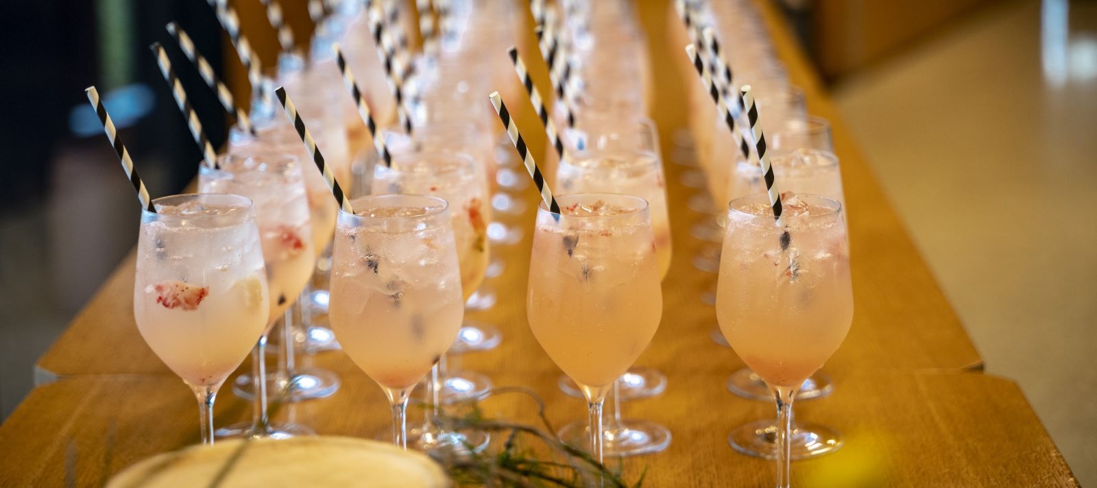 Gin and Gastronomy, Gin Dinner, Billy Stitch and Birdie